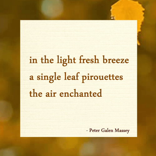 Haiku Poems About Nature | Peter Galen Massey
