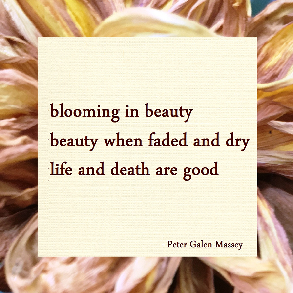 Haiku Poem | “blooming in beauty” | Peter Galen Massey
