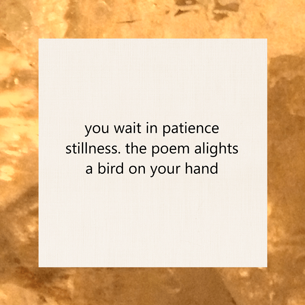 Haiku Poetry How To Write A Haiku Poem | Poetry Writing For Kids
