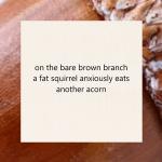 Haiku Poems About Nature | Peter Galen Massey