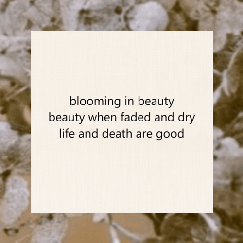 Haiku Poems About Nature | Peter Galen Massey