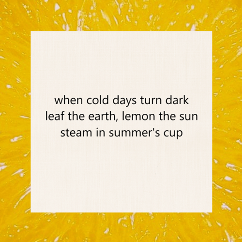 Haiku Poems About Nature | Peter Galen Massey