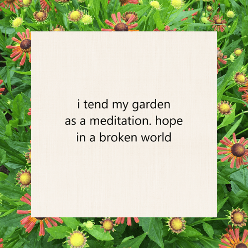 Haiku Poems | Examples of the 5-7-5 Format | Peter Galen Massey