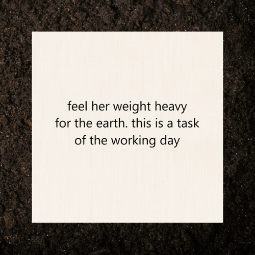 Haiku Poems | Examples of the 5-7-5 Format | Peter Galen Massey