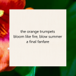 Haiku Poems About Nature | Peter Galen Massey