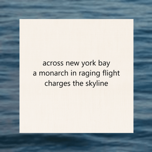Modern Haiku Poems | Peter Galen Massey