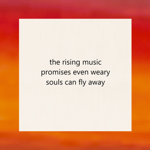 Haiku Poems | Examples of the 5-7-5 Format | Peter Galen Massey